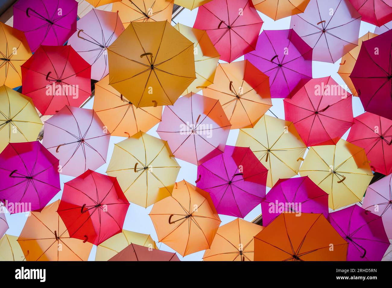 Many green umbrellas hi-res stock photography and images - Alamy