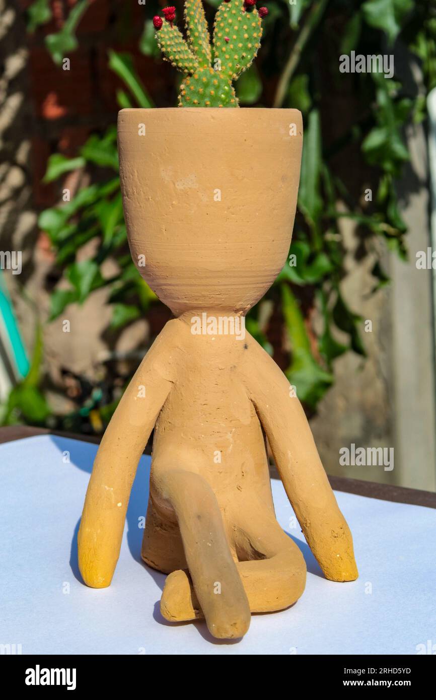 A souvenir sold to tourists in the northeast of Brazil is the ...