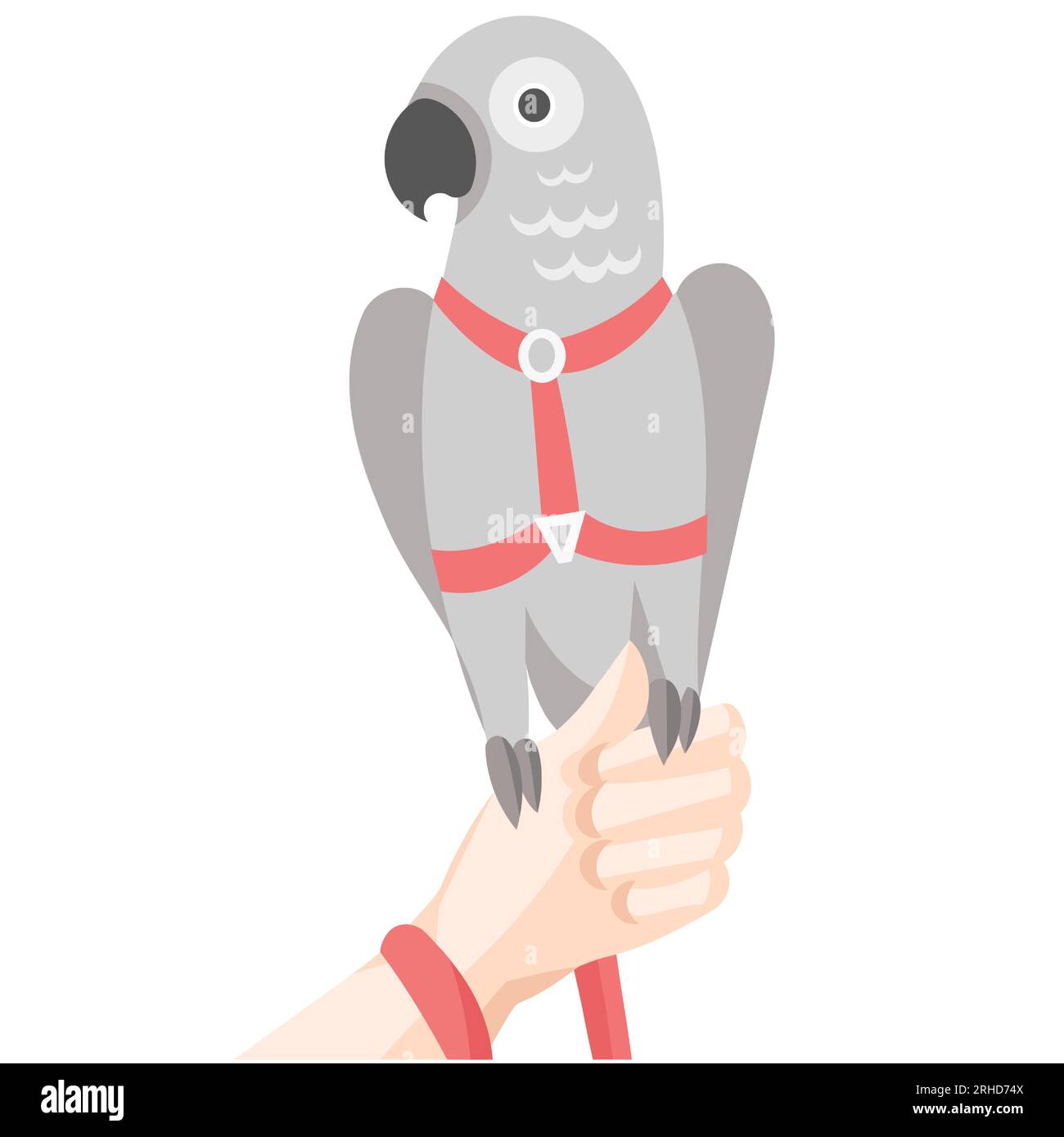 Red parrot sitting Stock Vector Images - Alamy