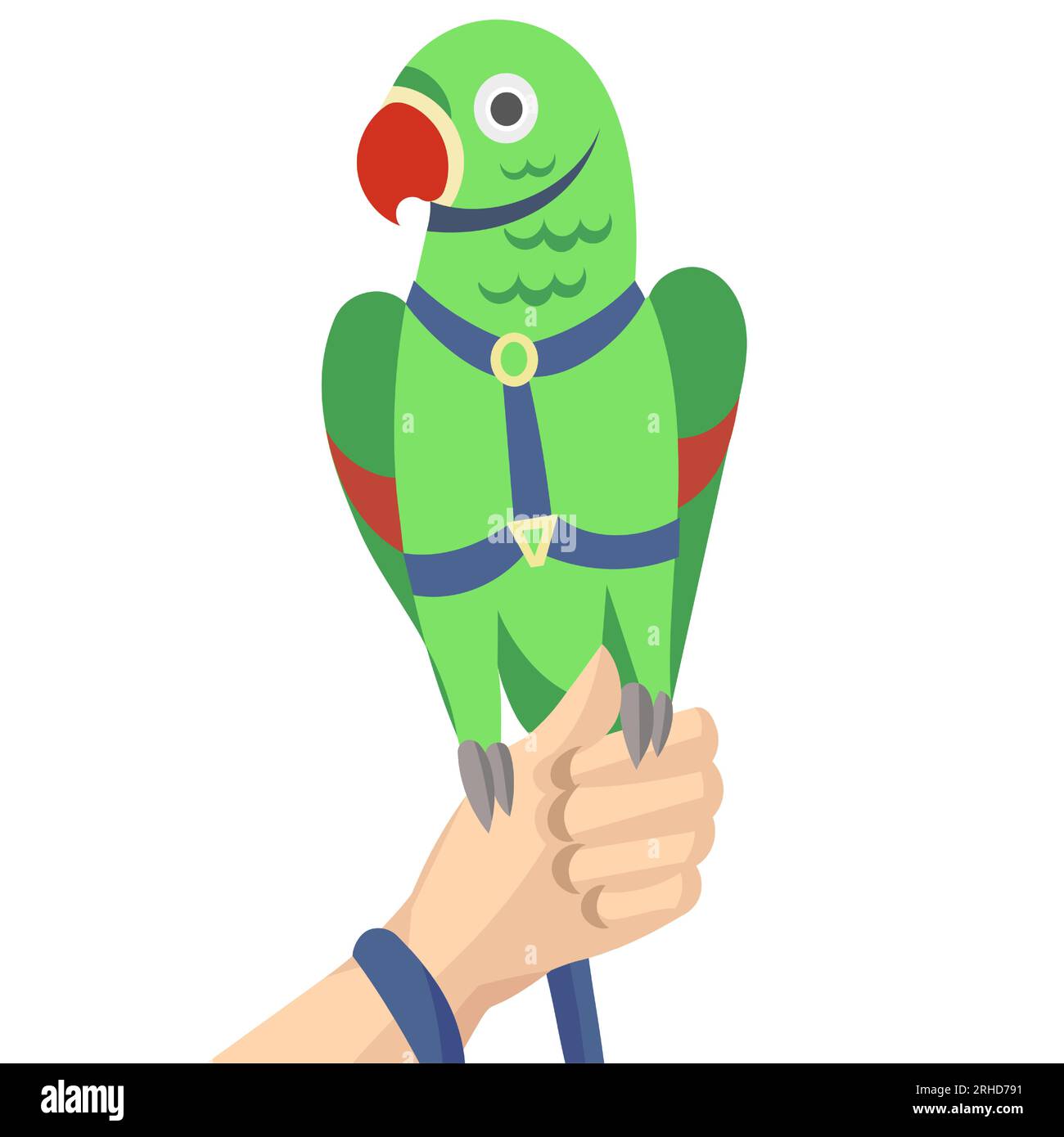 Indian ringneck parrots Cut Out Stock Images & Pictures - Alamy