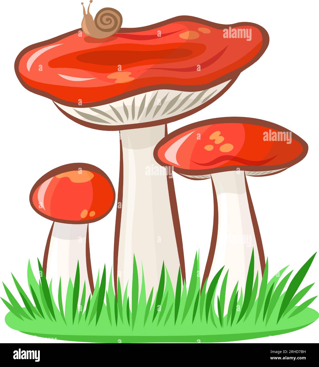 Russula mushroom vector image without background Stock Vector Image ... Russula mushroom vector image without background Stock Vector Image ...