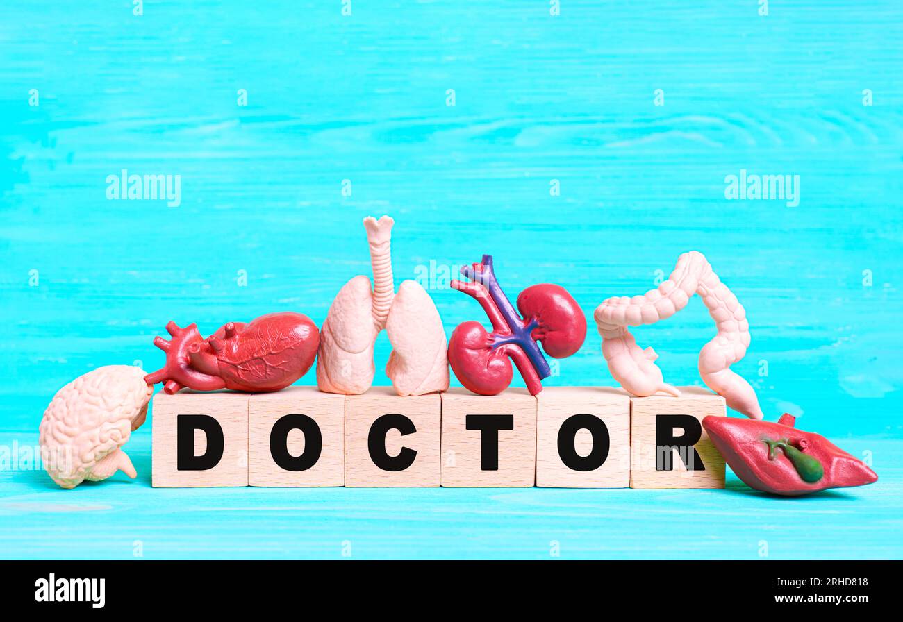 Word DOCTOR spelled out in wooden blocks along with miniature ...