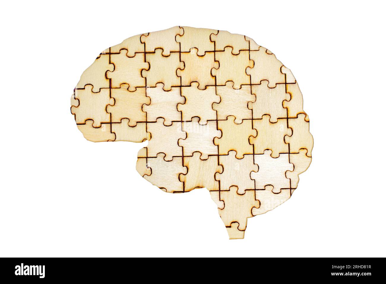 Close-up view of a human brain created with interlocking wooden puzzle ...