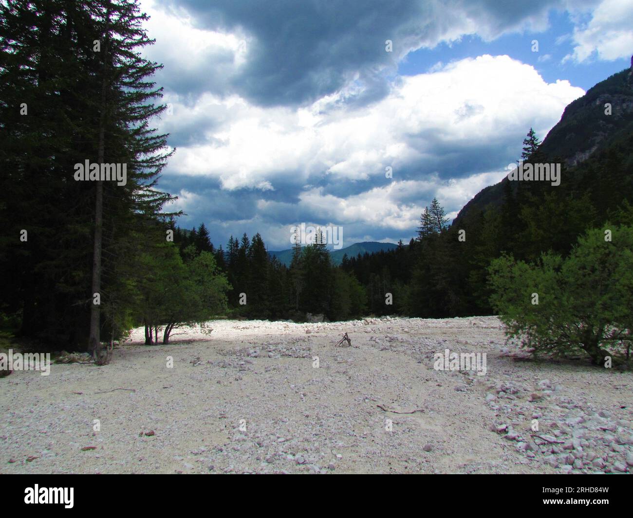 Gravel alluvium covered landscape surrounded by forest with dark storm ...