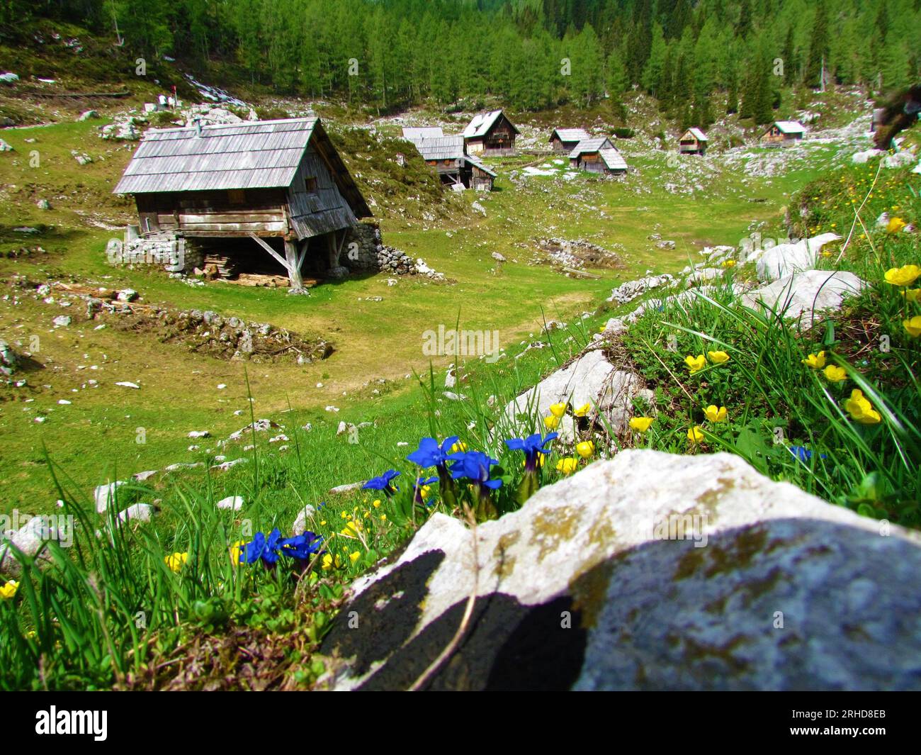 Mountain pasture Dedno Polje in Triglav national park and Julian alps ...