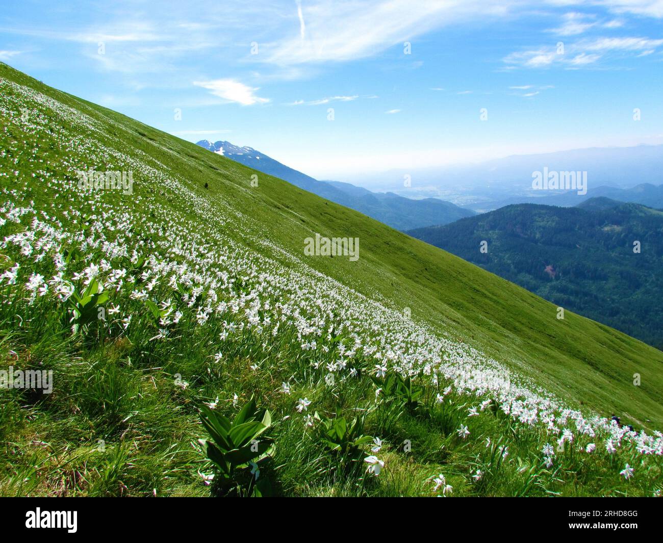 Slopes in Karavanke mountains under Golica in Slovenia covered in white ...