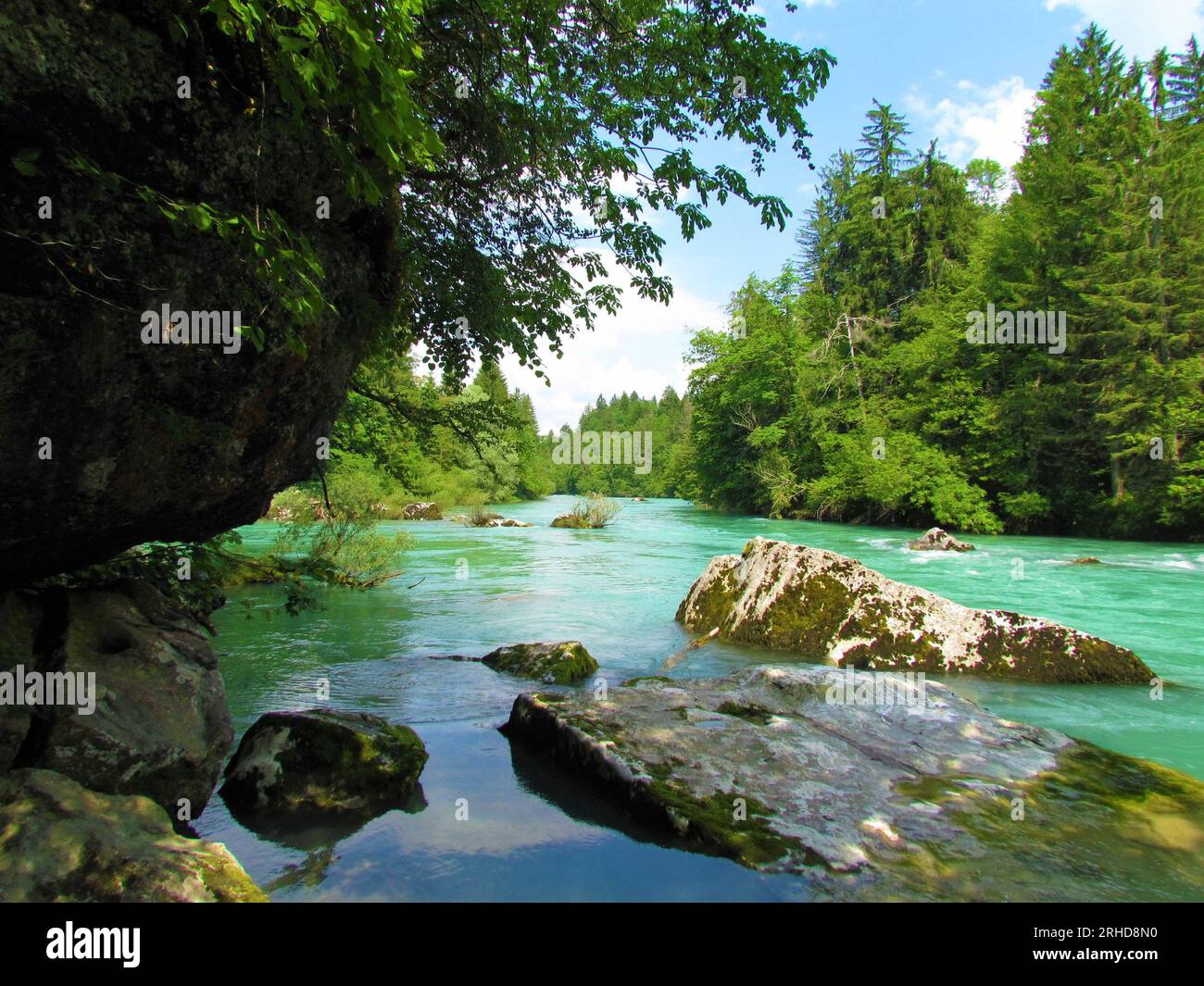 Sava River
