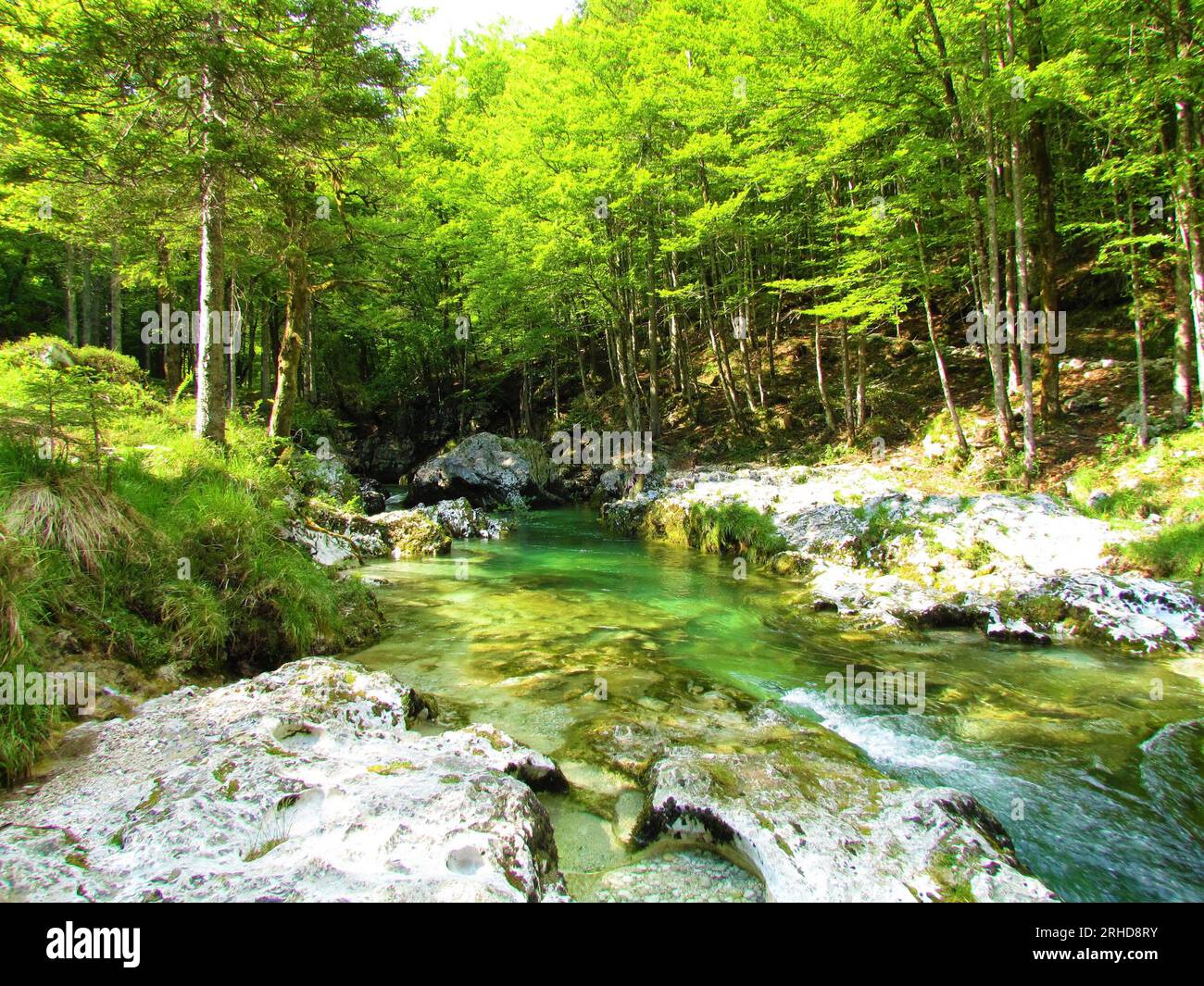 Green colored river Mostnica in Gorenjska, Slovenia at Mostnica gorge ...