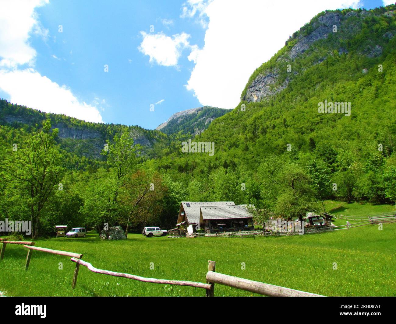 Trees on a meadow surrounded by a forest and a sunlit house roof in ...