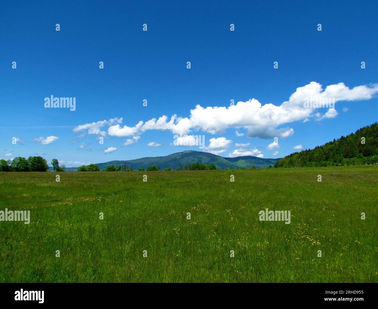 View of mountain Slivnica in Notranjska, Slovenia Stock Photo - Alamy