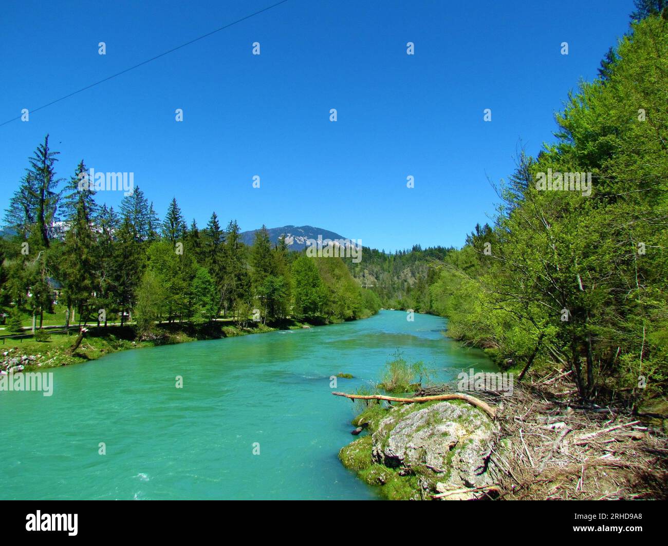 Scenic Sava river in Gorenjska, Slovenia with trees on the banks in ...