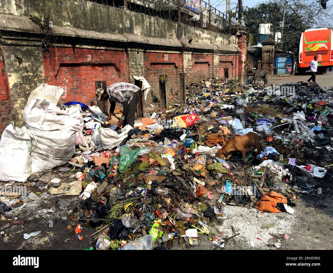A man and a dog picking through street rubbish in Kolkata, India Stock ...