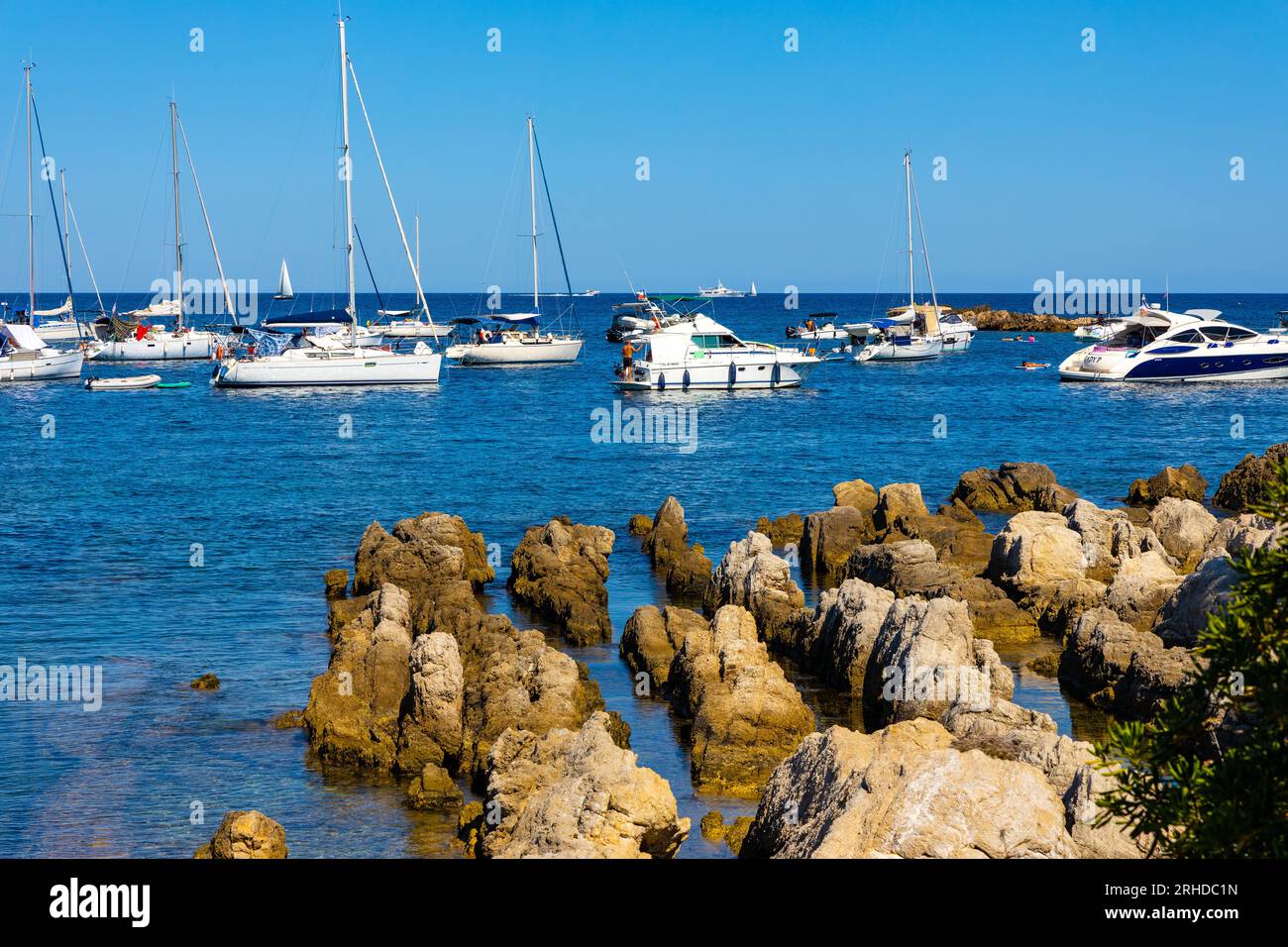 Cannes, France - July 31, 2022: Rocky coast with woods and forest of ...
