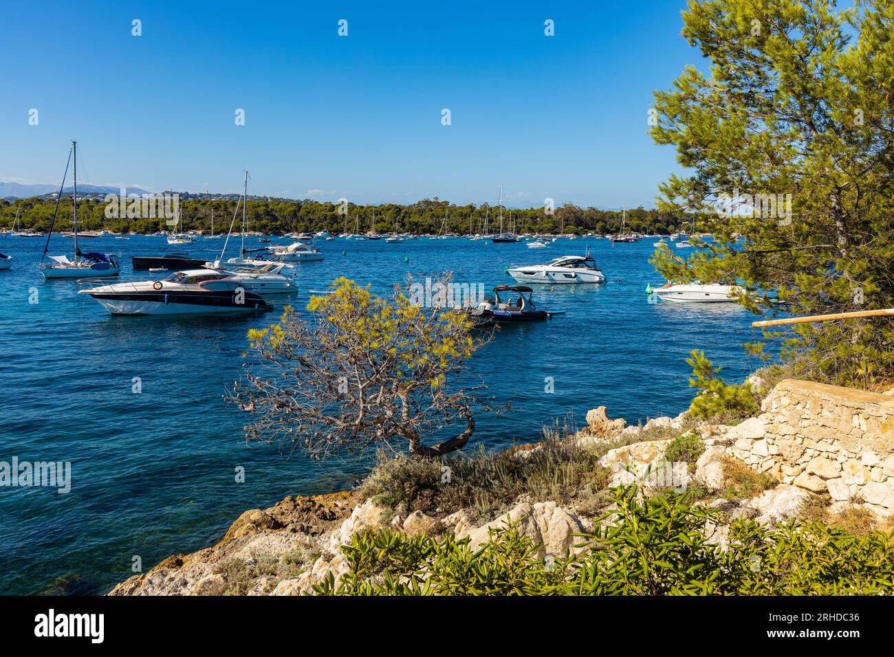 Cannes, France - July 31, 2022: Rocky coast with woods and forest of ...