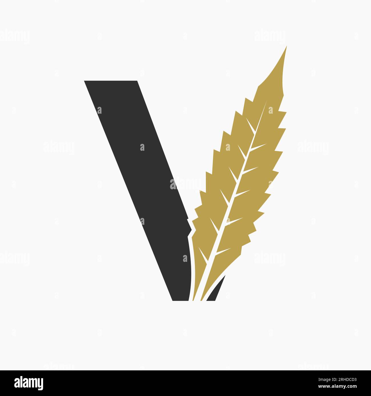 Letter V Cannabis Logo Concept With Marijuana Leaf Icon Stock Vector ...