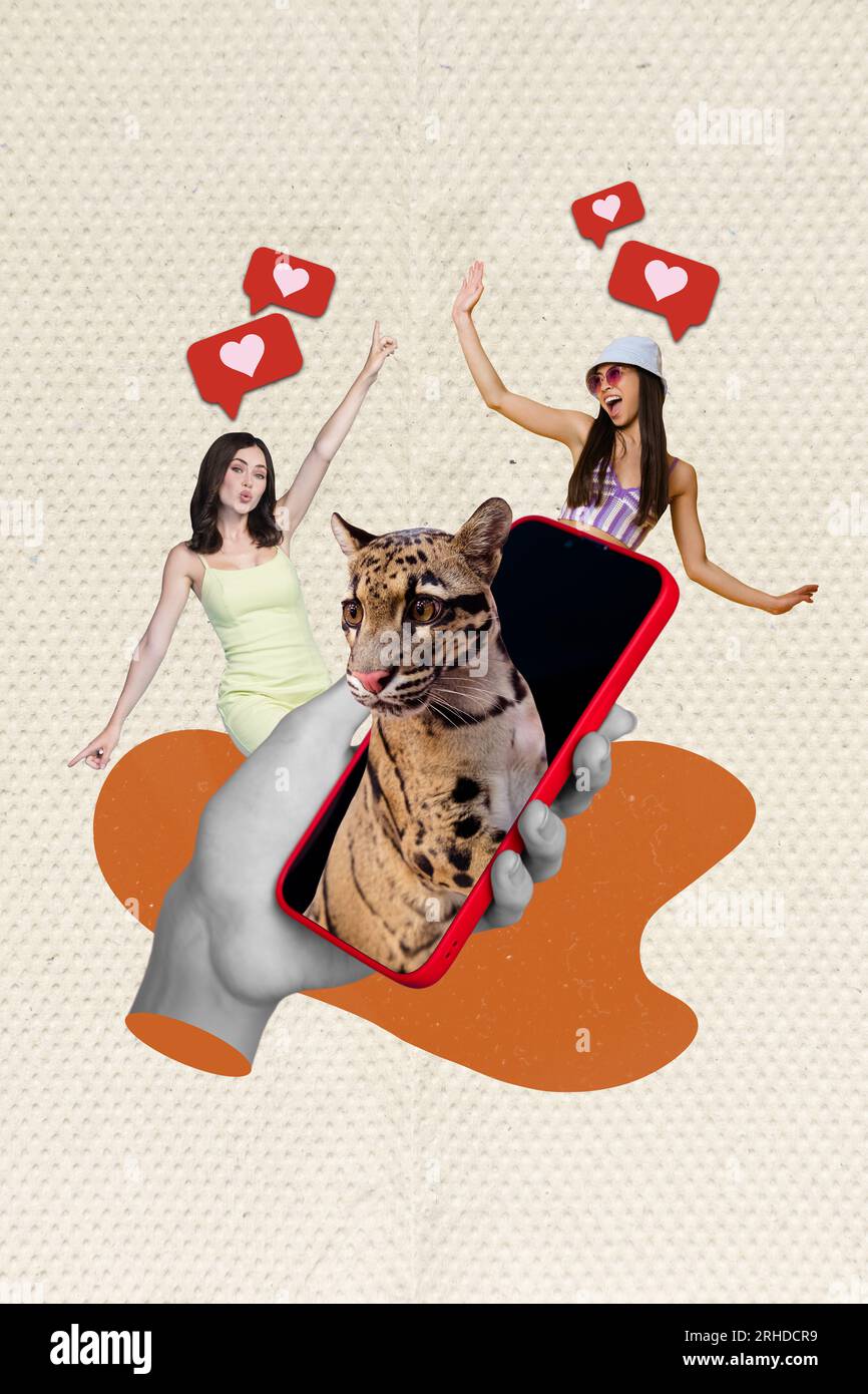 Vertical creative composite photo collage of beautiful girls follow ...