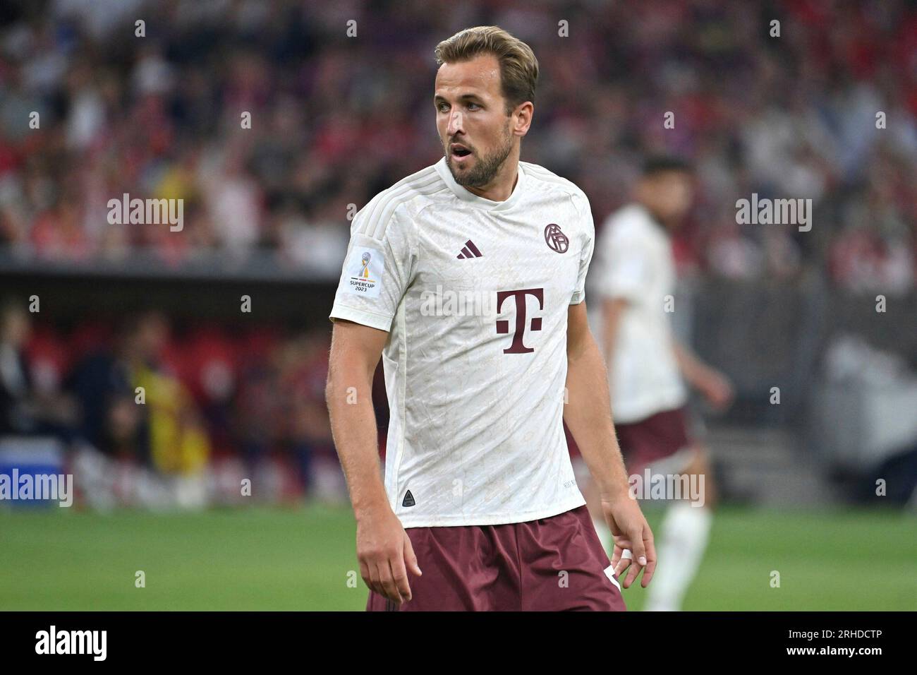 Harry KANE (FC Bayern Munich), action, single image, cut single motif ...