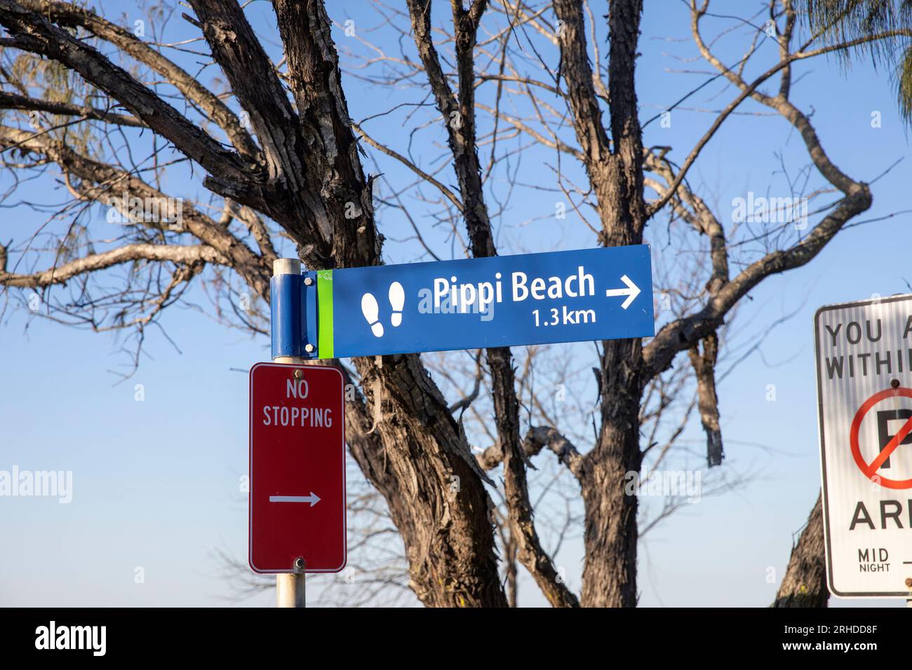 Pippi beach yamba hi-res stock photography and images - Alamy