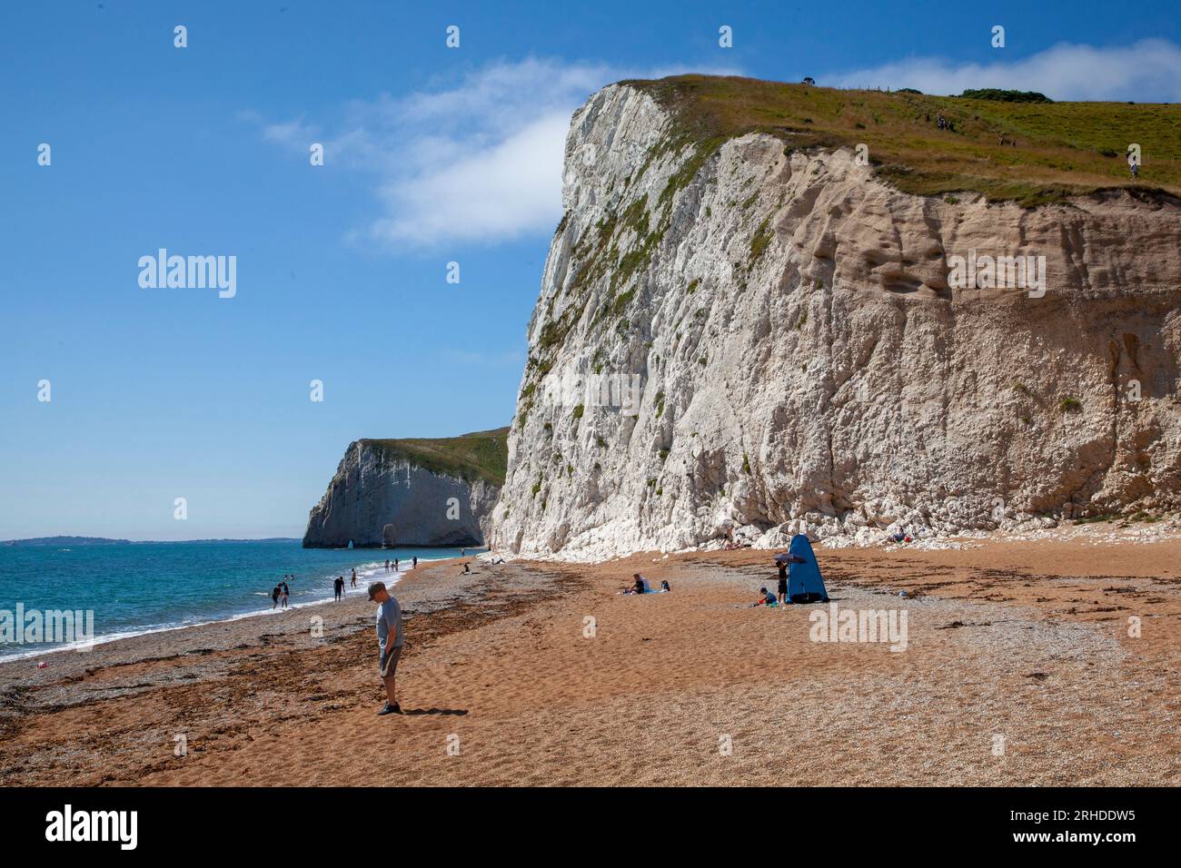 The rolling chalk cliffs of Dorset to the west of Durdle Door, Near ...