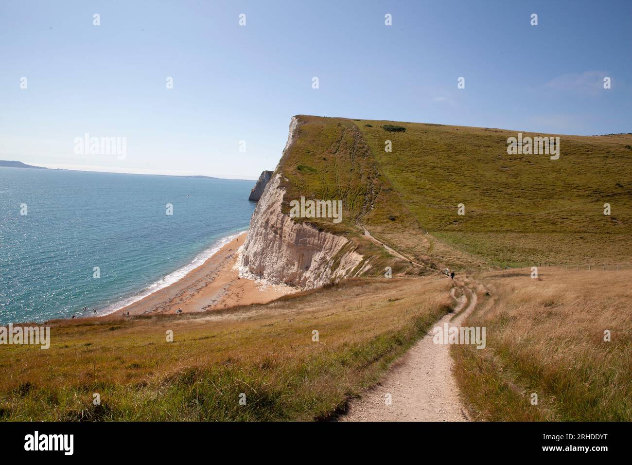 The rolling chalk cliffs of Dorset to the west of Durdle Door, Near ...