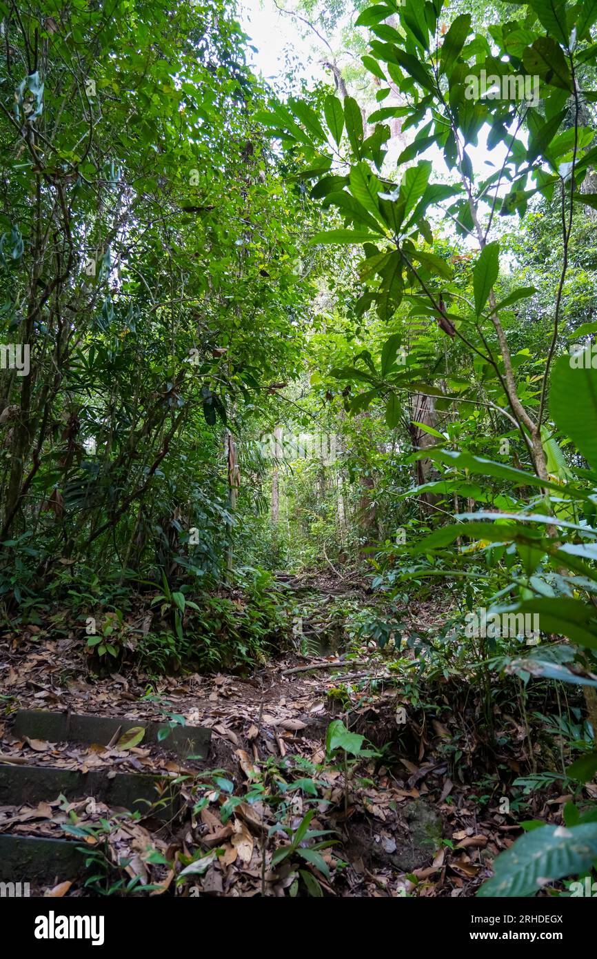 Frasers forest road hi-res stock photography and images - Alamy