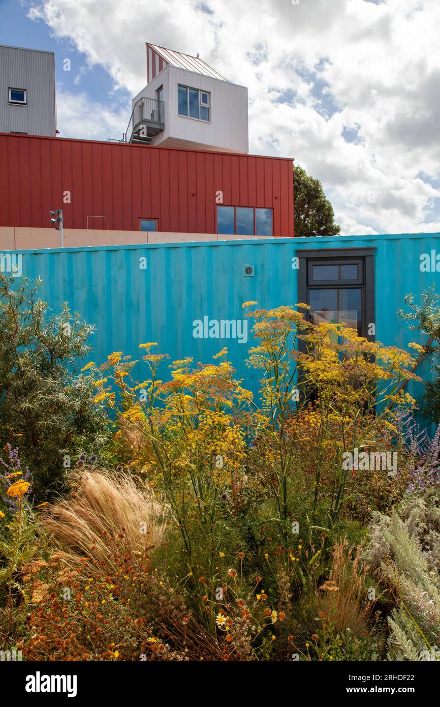 East Quay, Watchet conceptualised by Invisible Studio and brought to ...