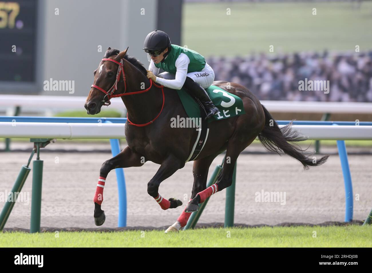 Fukuoka, Japan. 13th Aug, 2023./Echt and Yuga Kawada win the Kokura ...