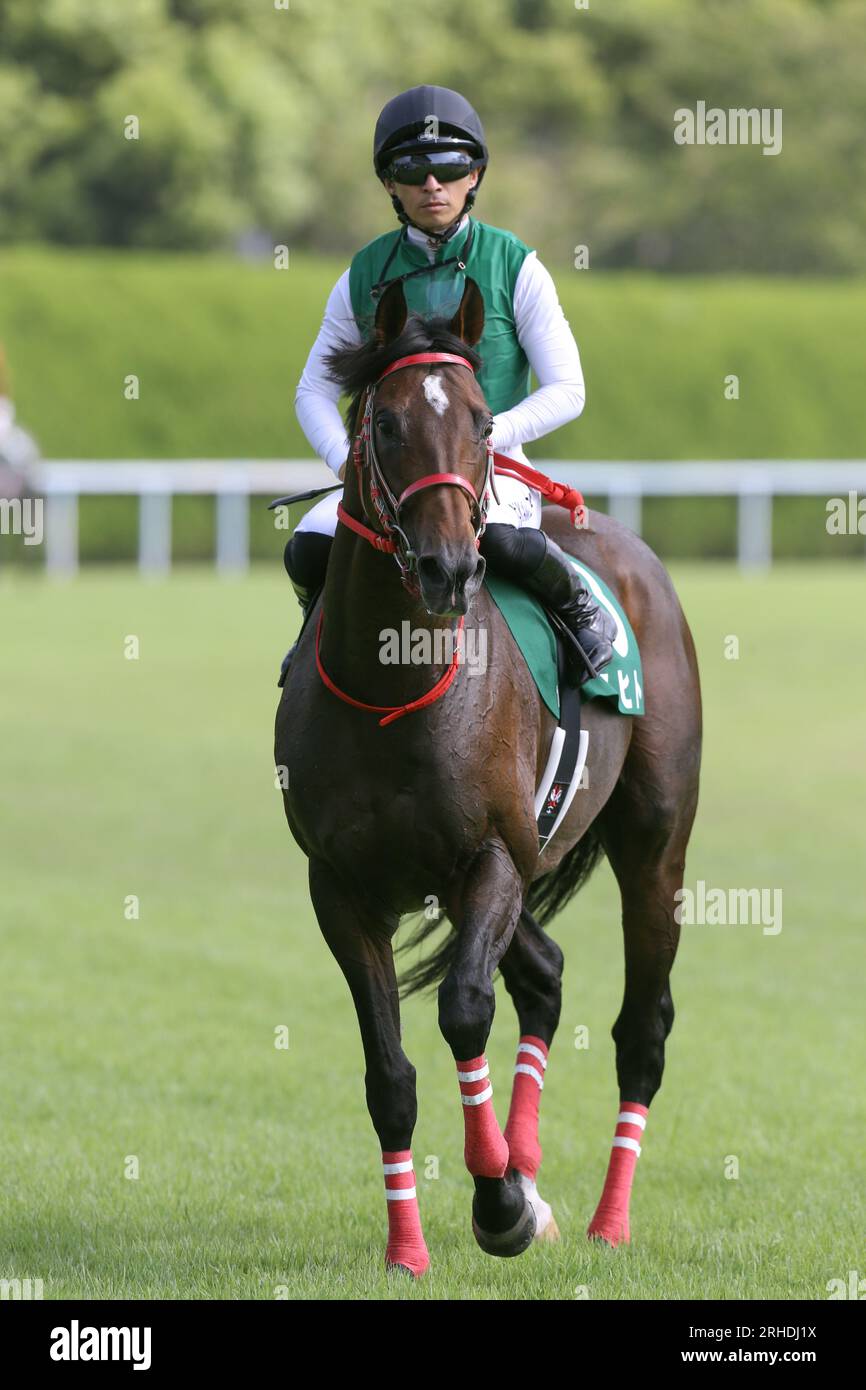 Fukuoka, Japan. 13th Aug, 2023./Echt and Yuga Kawada won the Kokura ...