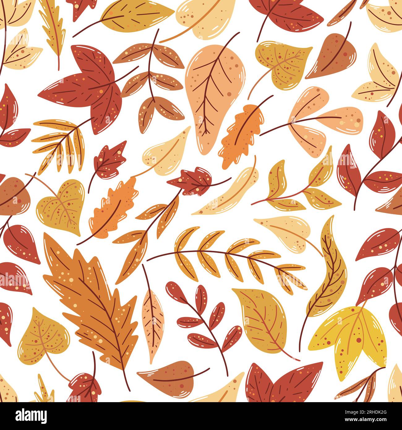 Fall beech leaves Stock Vector Images - Alamy