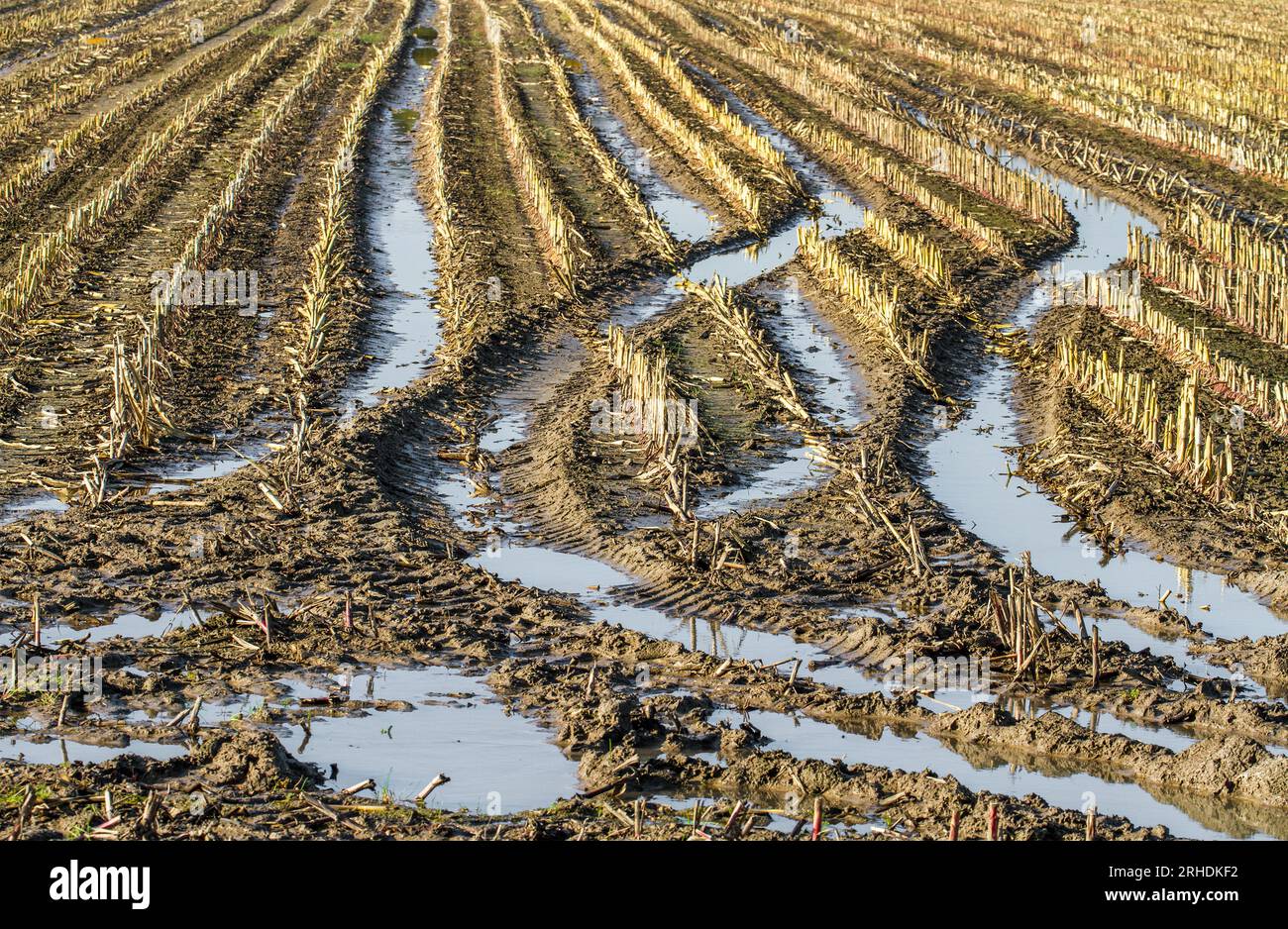Wet arable land hi-res stock photography and images - Alamy