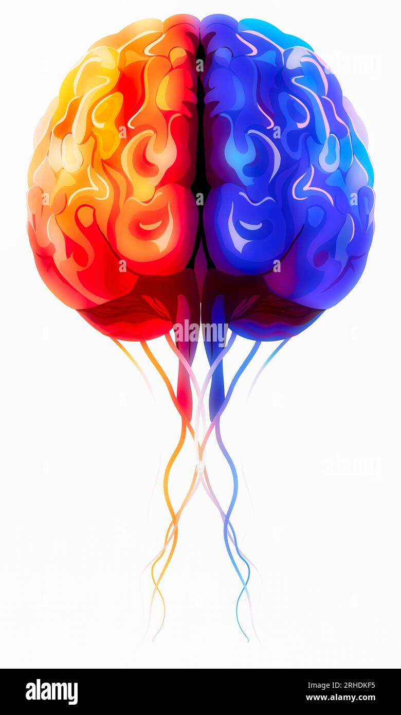 Neurology, philosophy: connections, the development of thought and ...