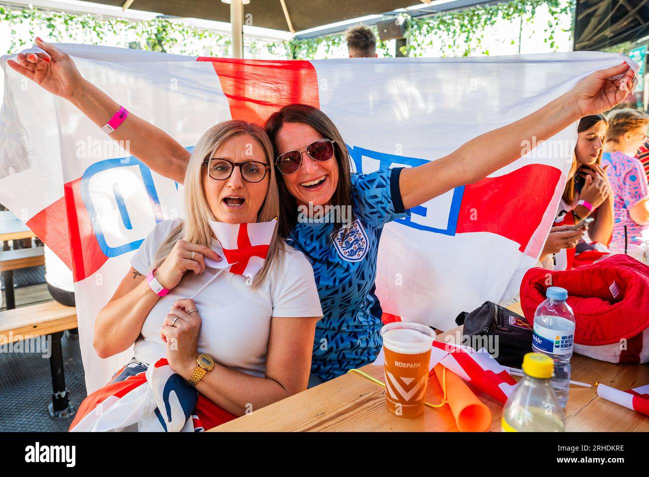 Lioness fans hi-res stock photography and images - Alamy