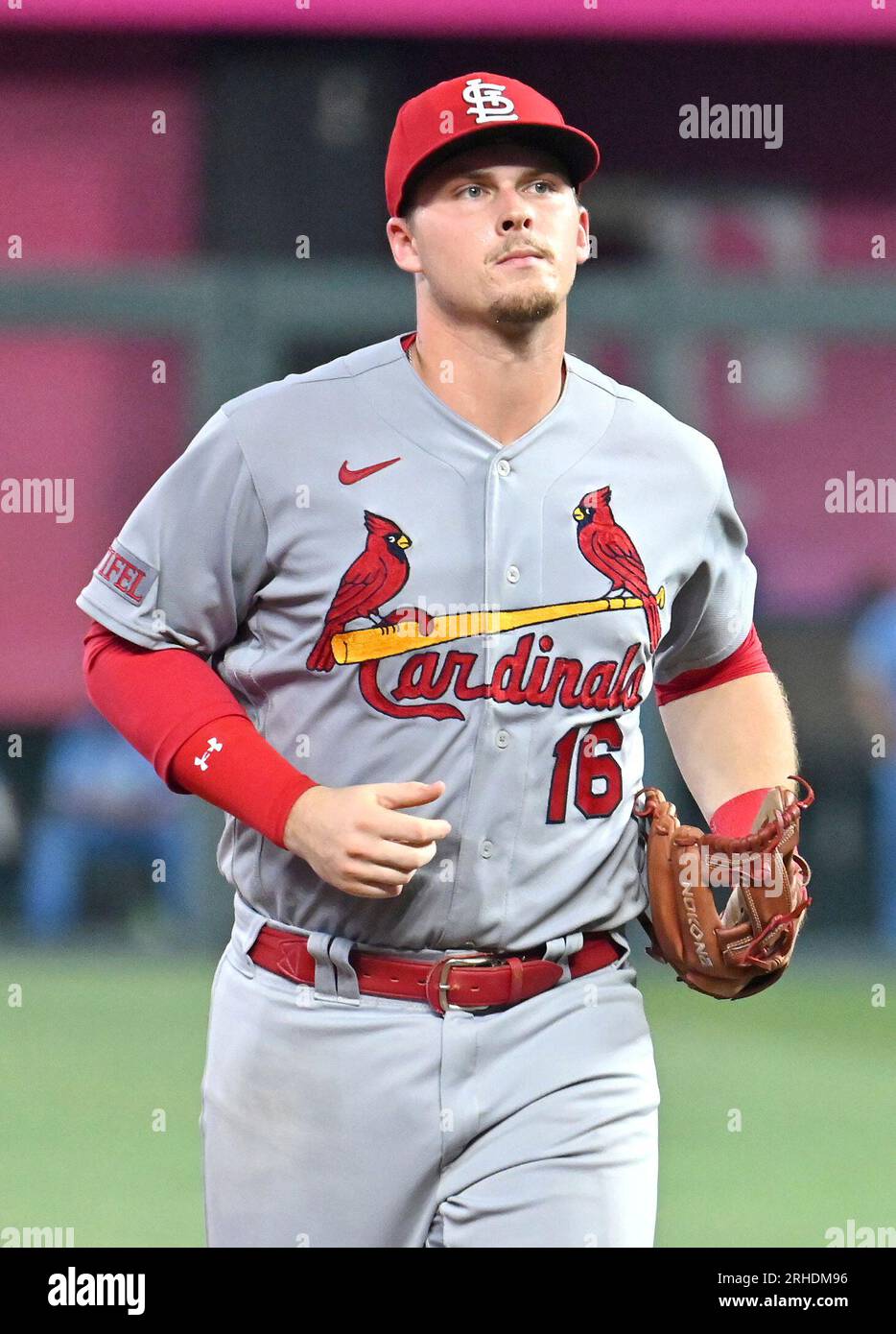 KANSAS CITY, MO - AUGUST 11: St. Louis Cardinals second baseman Nolan ...