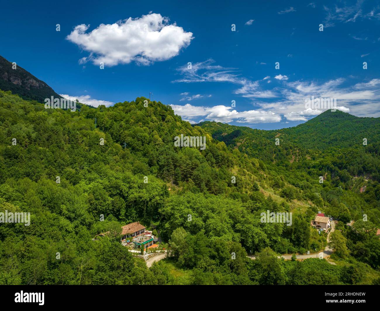 Ae bosque hi-res stock photography and images - Alamy