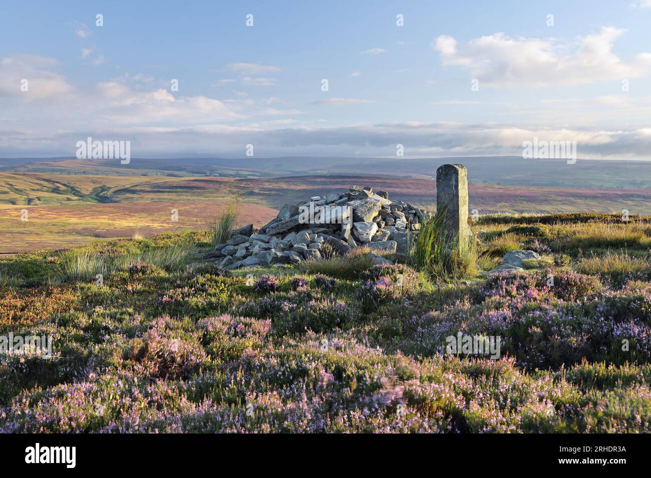 Long Man Cairn and flowering heather in the North Pennines on the ...