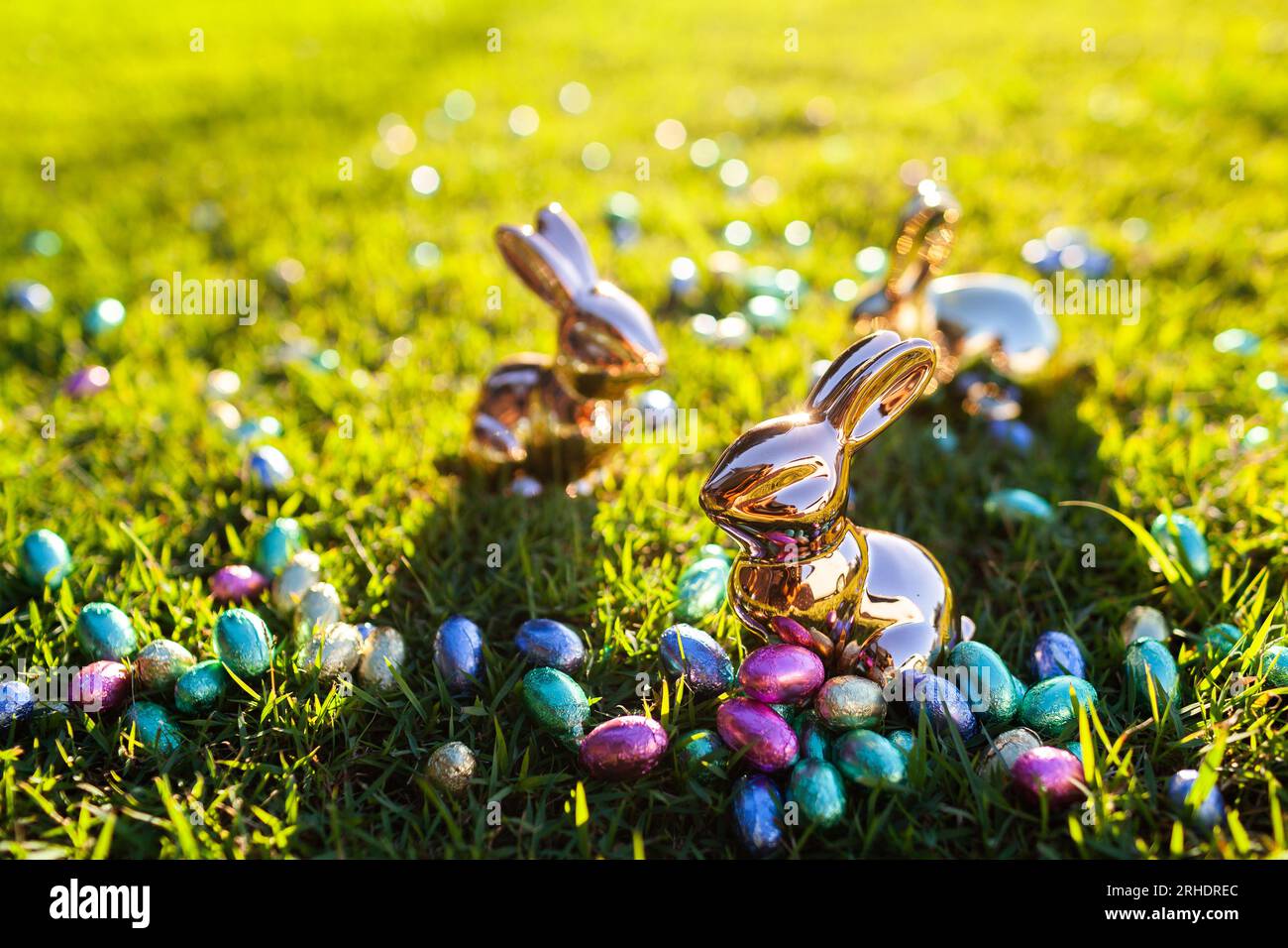 Rabbit hunt australia hi-res stock photography and images - Alamy