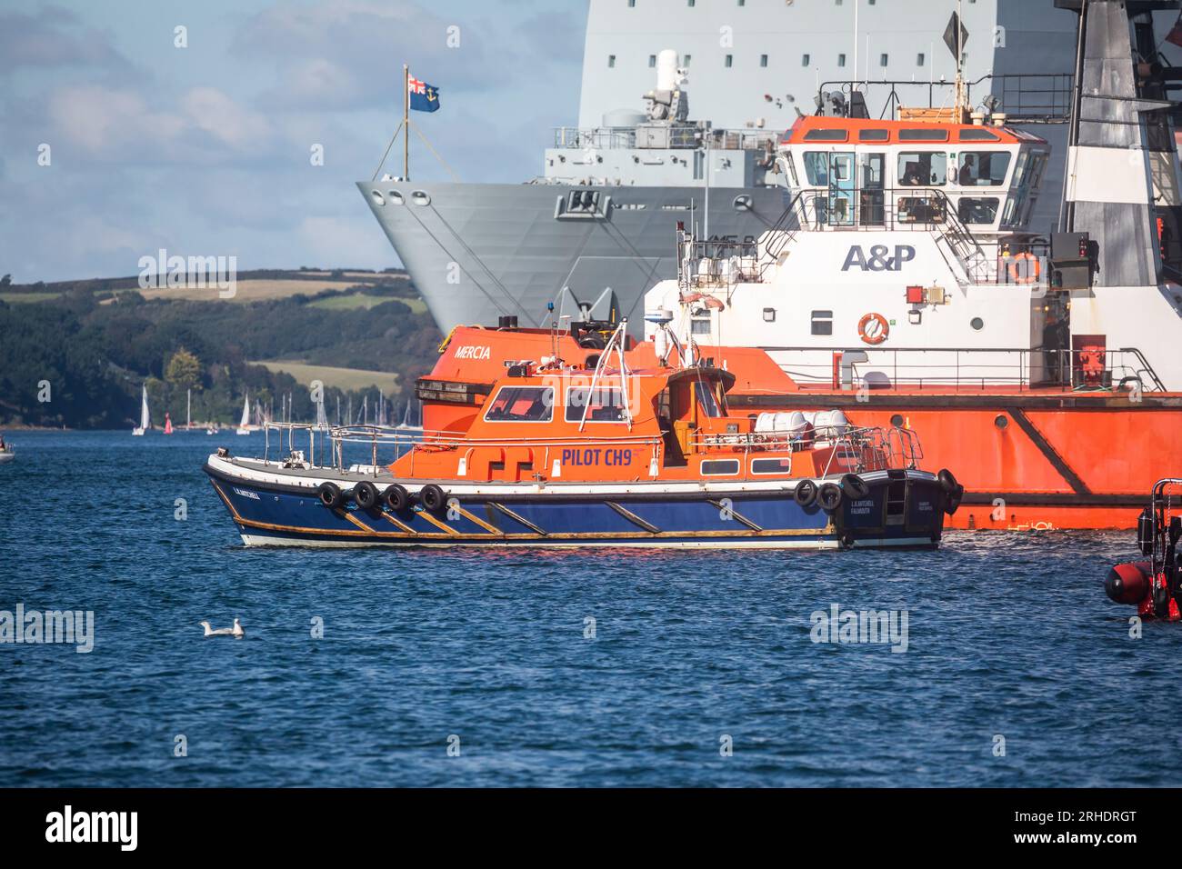 Argus tug boat hi-res stock photography and images - Alamy
