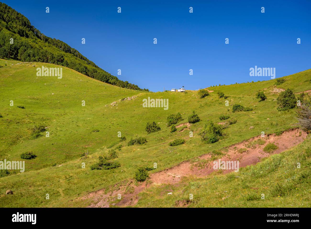 Col de verde hi-res stock photography and images - Alamy