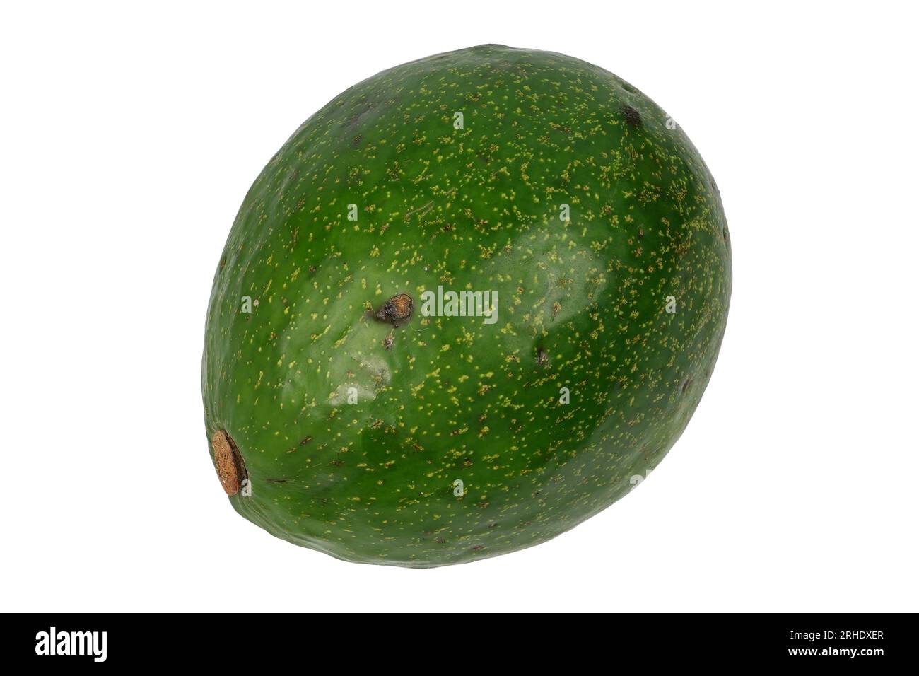 Avocado without background. Fresh and ripe avocado Stock Photo - Alamy