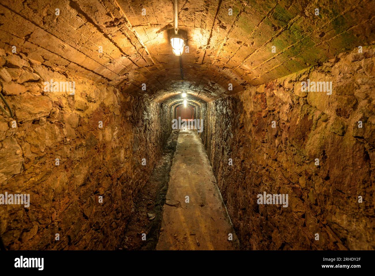 Museu miner dogassa hi-res stock photography and images - Alamy
