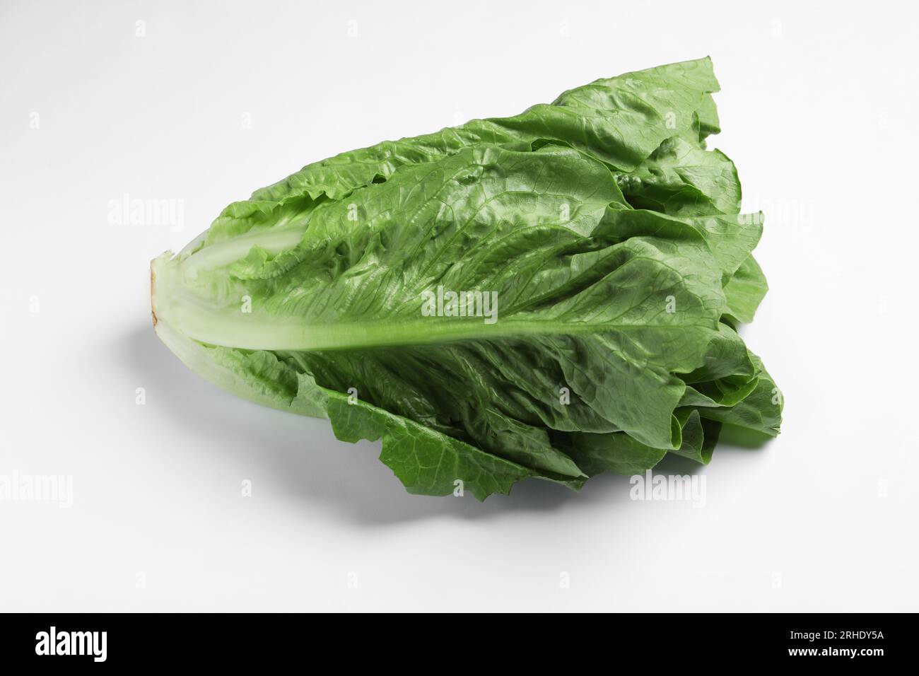 Fresh green romaine lettuce on white background Stock Photo - Alamy