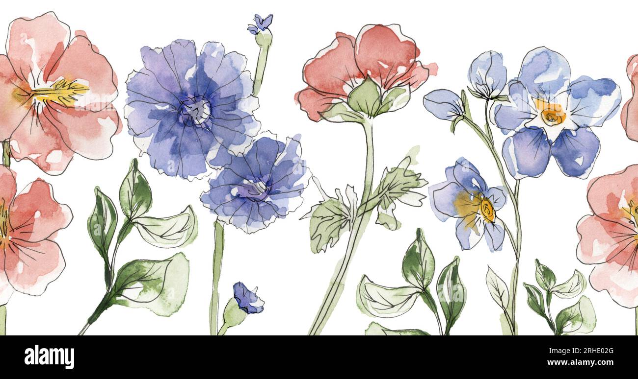 Hand drawn watercolor wildflowers seamless border illustration ...