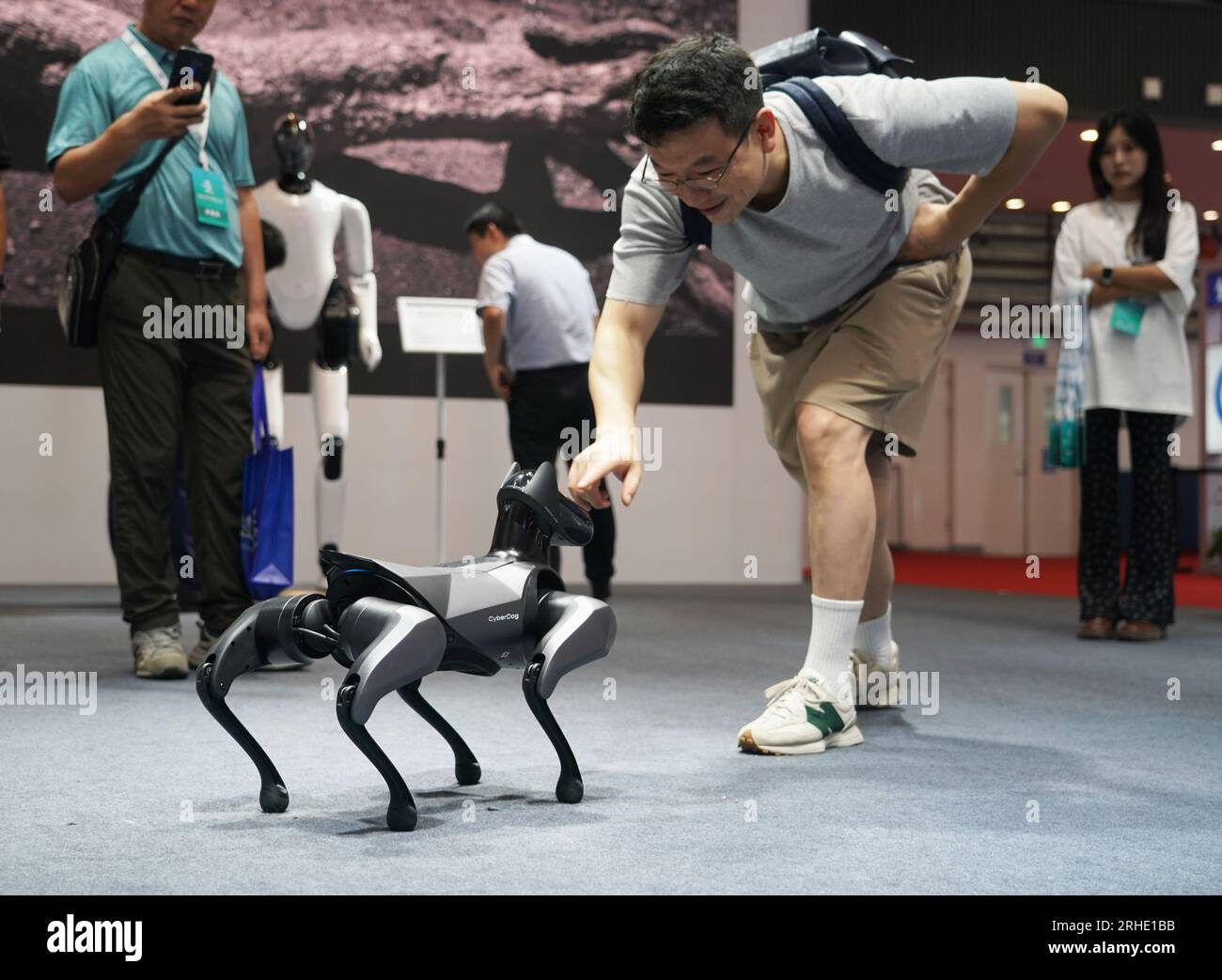 Beijing, China. 16th Aug, 2023. A visitor interacts with a robotic dog ...