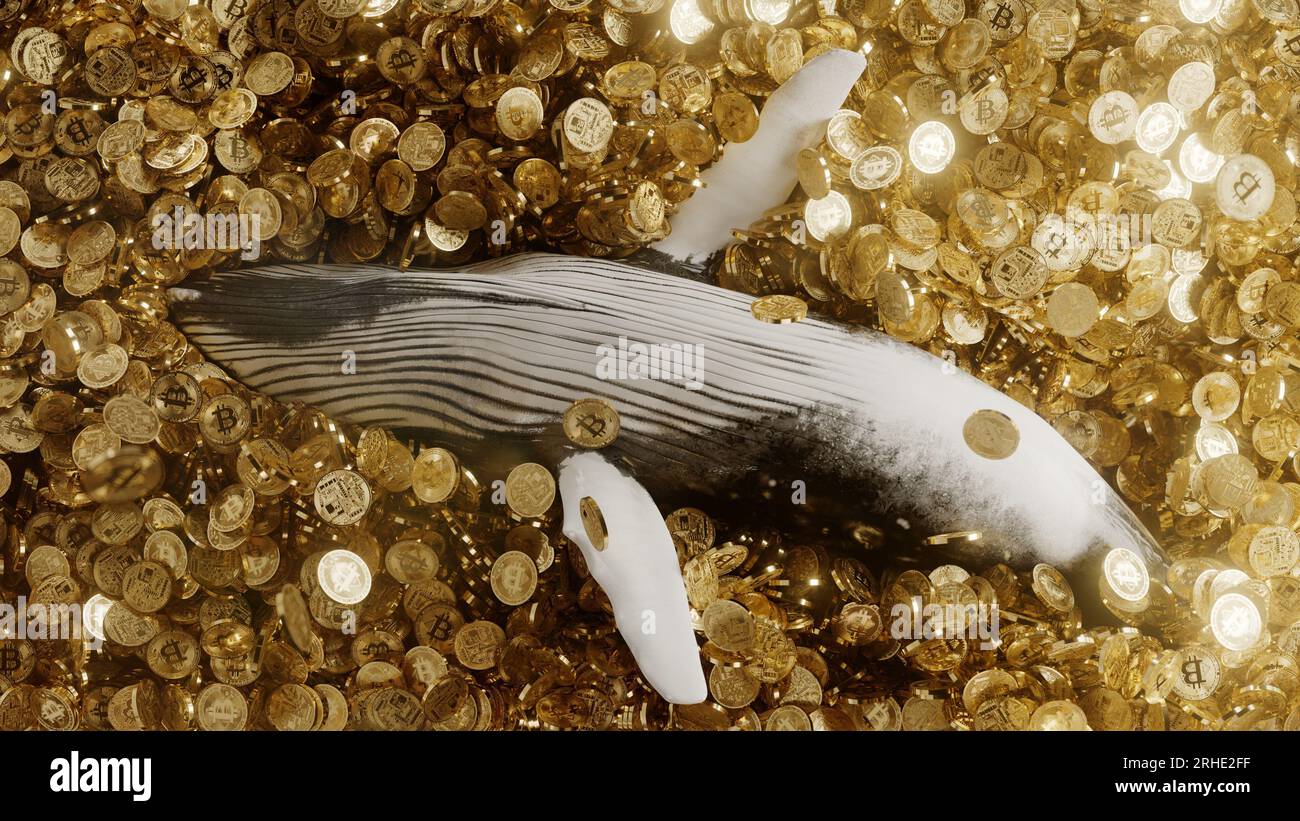 Ethereum whales hi-res stock photography and images - Alamy