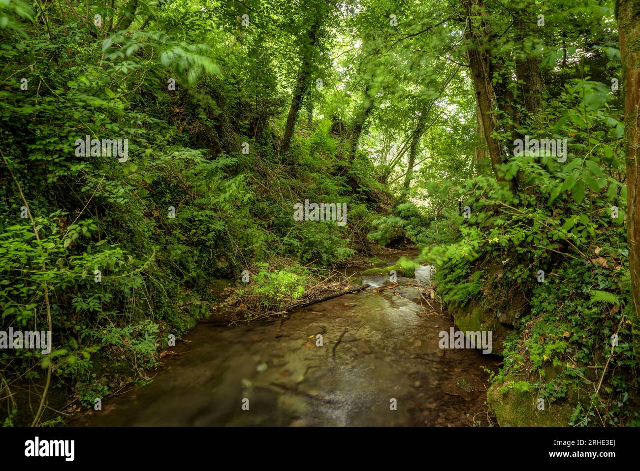 Font gran dogassa hi-res stock photography and images - Alamy