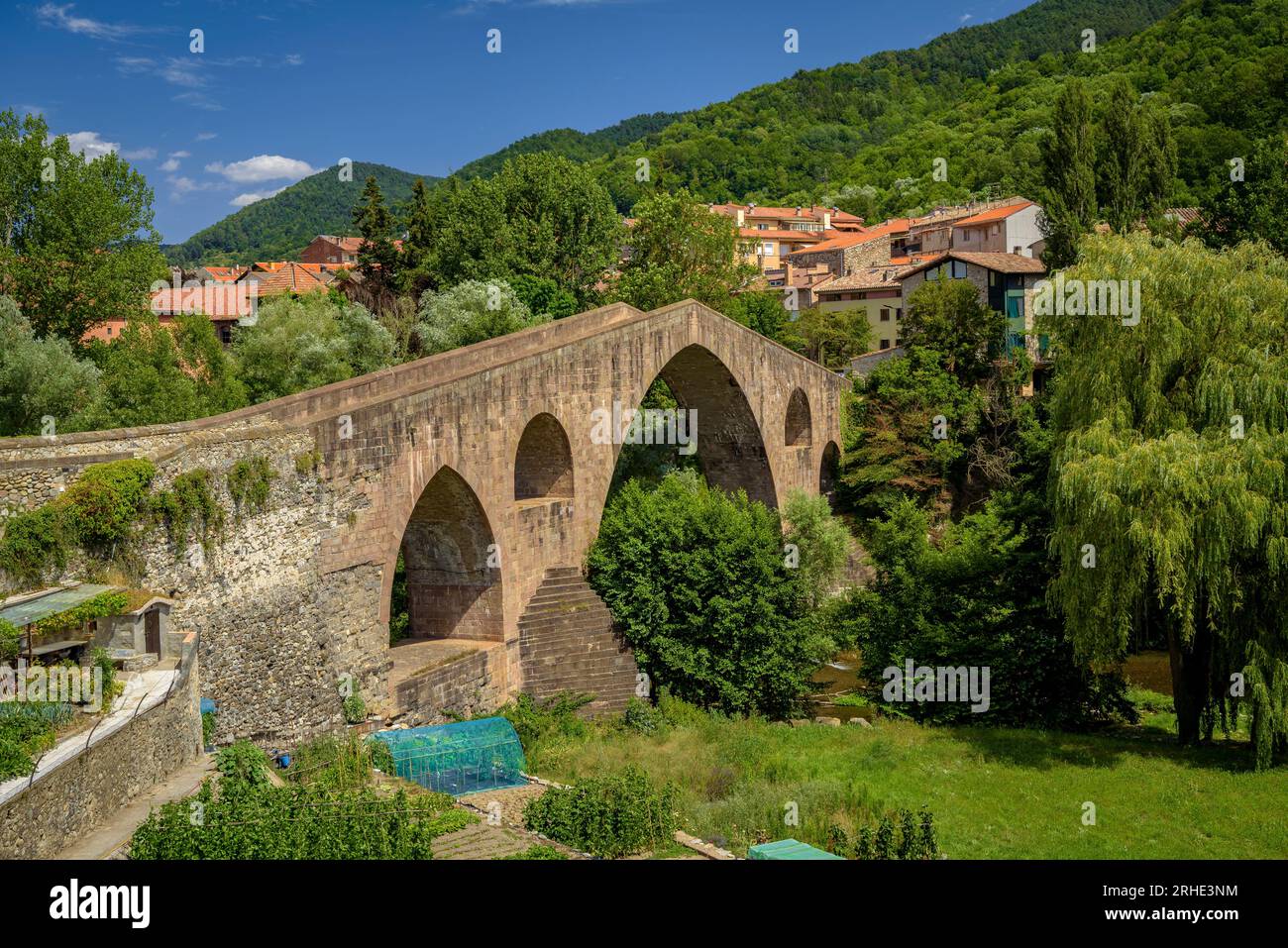 Bosque medieval hi-res stock photography and images - Alamy