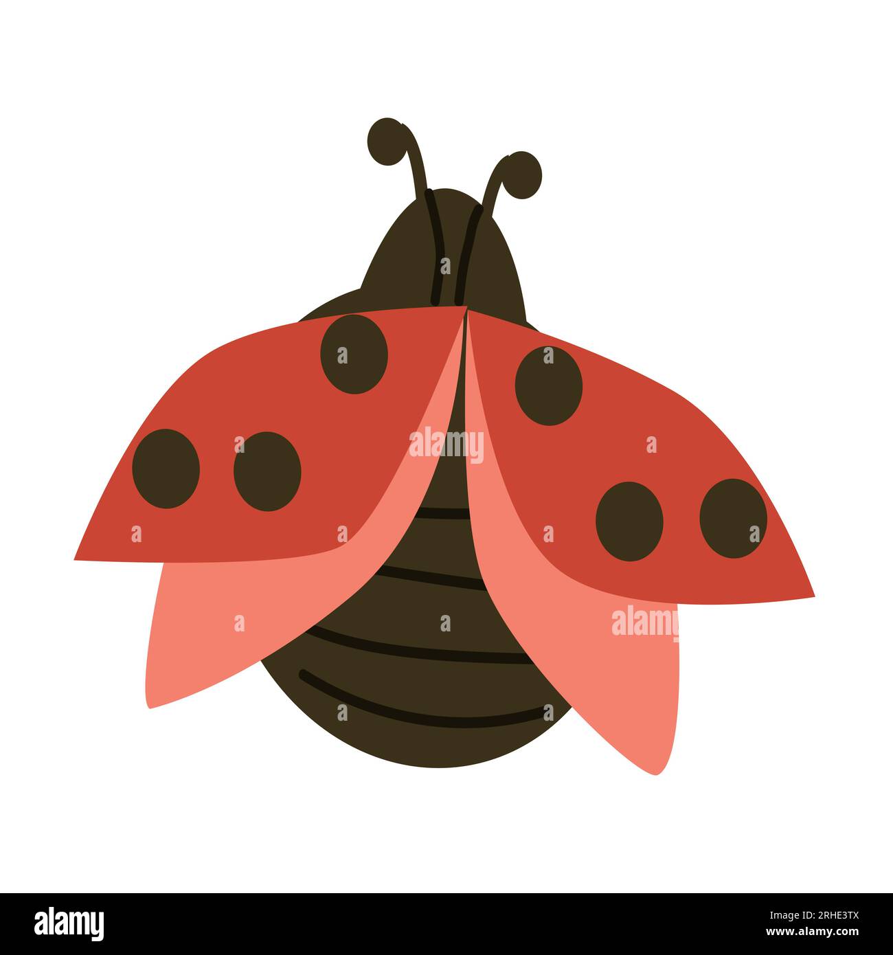Cute red ladybug beetle insect in flat style Stock Vector Image & Art ...