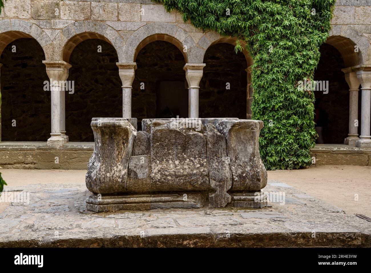 Planta de la selva hi-res stock photography and images - Alamy