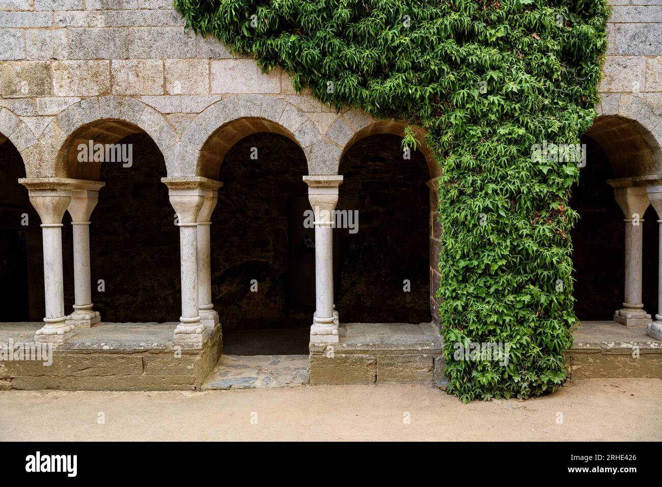 Planta de monumento hi-res stock photography and images - Alamy