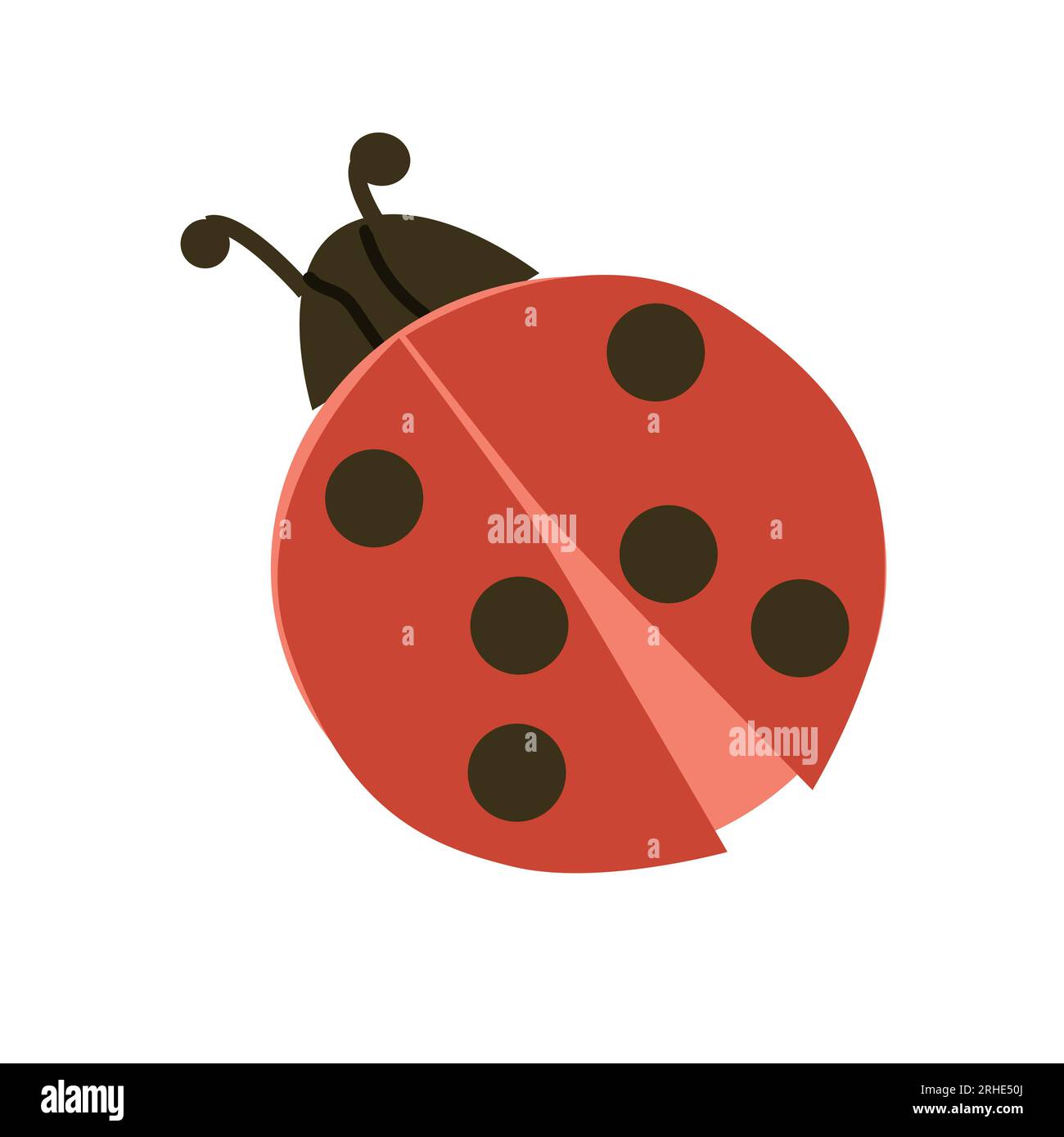 small beautiful insect, red with spots lady bug Stock Vector Image ...